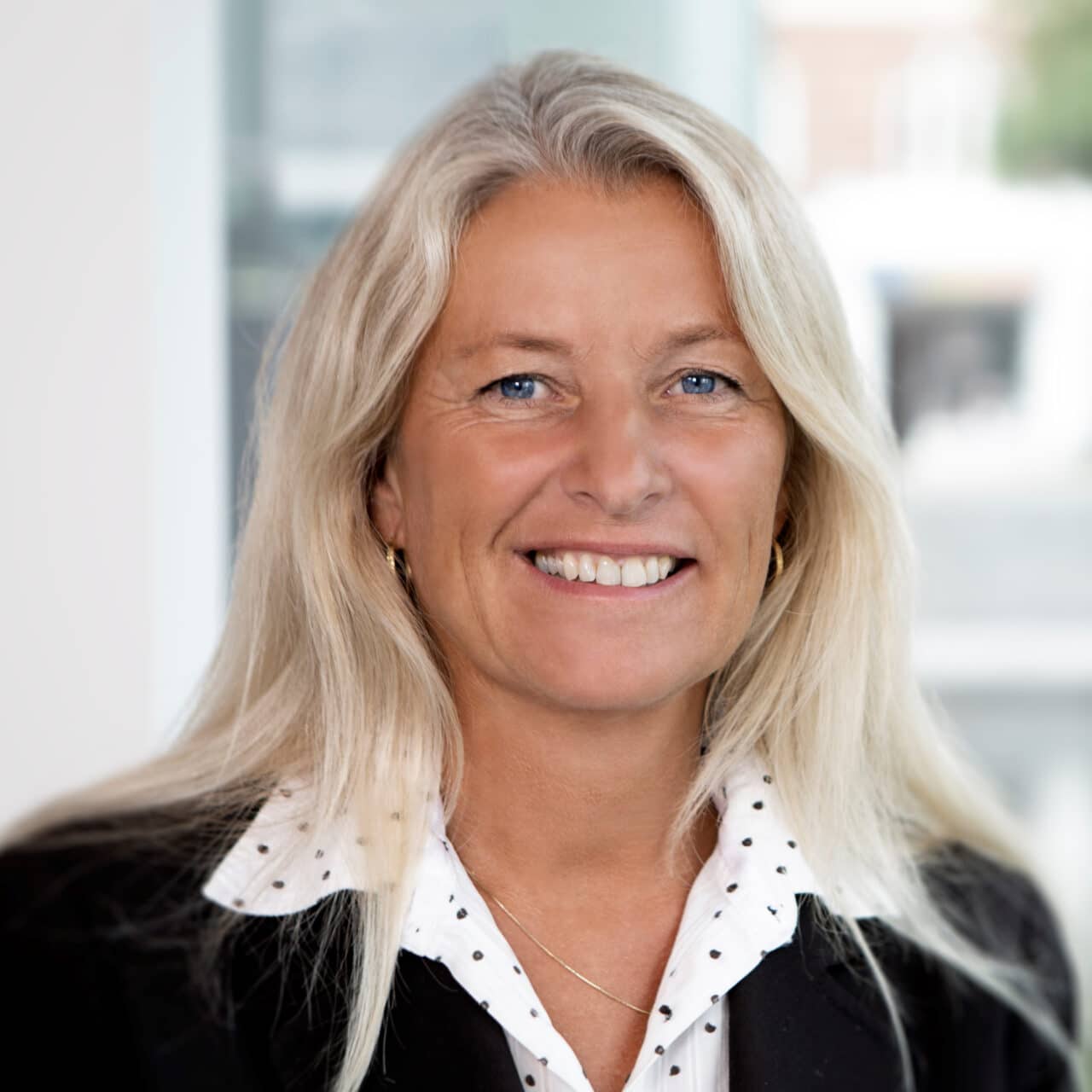 Welcome - Aarestrup executive